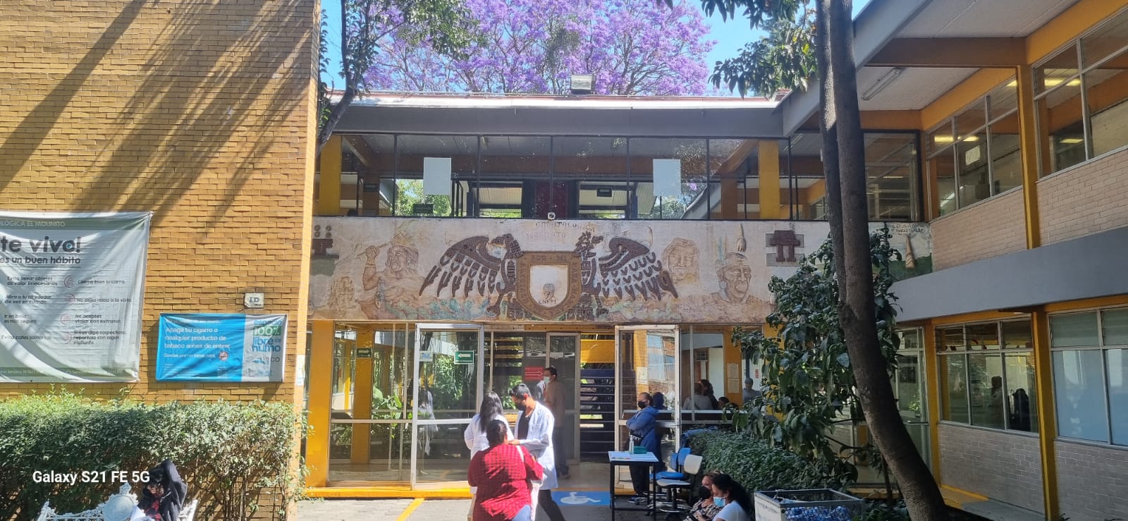 MOLINITO – Cirujano Dentista